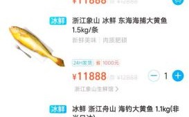 黄鱼多少钱一斤2021_黄鱼价格为什么上涨