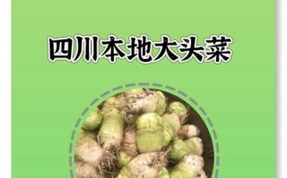 怎么腌制咸菜_咸菜腌制多久可以吃