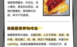 赖葡萄和苦瓜的区别_哪个更苦