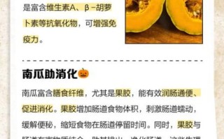 小南瓜的营养价值及功效与作用_小南瓜怎么吃最营养