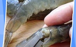 虾线是什么_虾线怎么去除