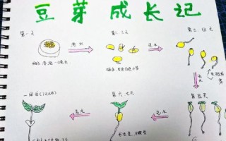 在家怎么生黄豆芽_简易新方法