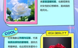 红玫瑰与白玫瑰的花语区别_送花前必看