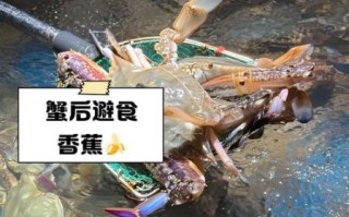吃完螃蟹不能吃什么_吃完螃蟹不能喝什么