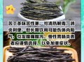 苦丁茶什么人不能喝_三种禁忌人群