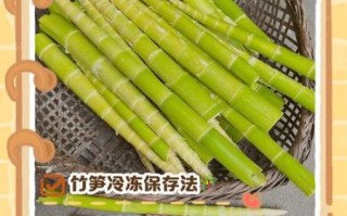 鲜笋的功效与作用_鲜笋怎么吃最健康