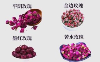 喝玫瑰花茶的好处和坏处_长期饮用有哪些副作用