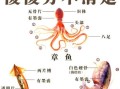 八爪鱼怎么处理内脏_八爪鱼清理内脏图解