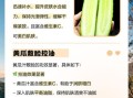 天天用黄瓜敷脸好不好_会不会刺激皮肤