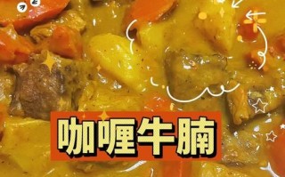 咖喱牛肉块怎么做_咖喱牛肉块用高压锅还是慢炖