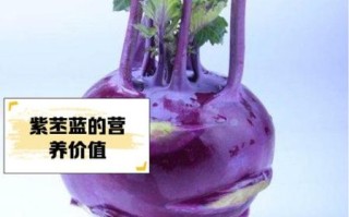 苤蓝的营养价值_苤蓝怎么吃最健康