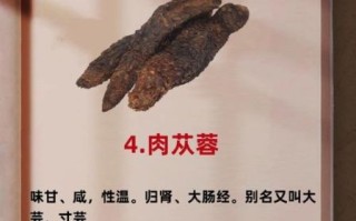 壮阳补肾中药配方有哪些_如何正确服用