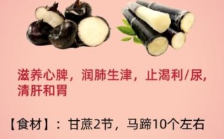 马蹄是什么_马蹄的功效与作用