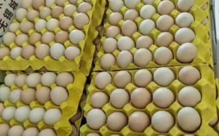 草鸡蛋多少钱一个_草鸡蛋价格为什么贵