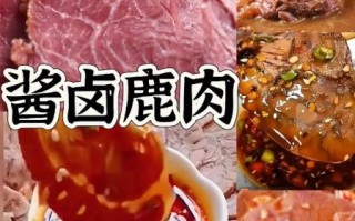 鹿肉怎么做好吃_鹿肉的家常做法大全