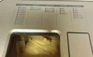 面包机做蛋糕怎么操作_面包机蛋糕配方比例