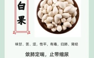 银杏叶的功效与作用吃法_怎么吃效果最好