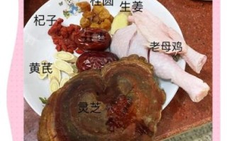 老母鸡怎么煲汤好喝_老母鸡煲汤用什么配料