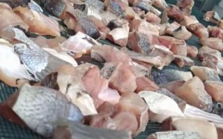 风干鱼怎么腌制_风干鱼蒸多久才熟