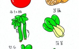 蔬菜简笔画大全带颜色_怎么画