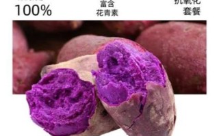 紫色胡萝卜的功效与作用_紫色胡萝卜怎么吃最有营养