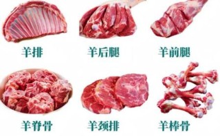 山羊肉和绵羊肉哪个贵_价格差异原因