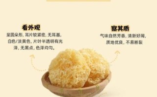 银耳吃了容易湿气重吗_湿气重的人能吃银耳吗