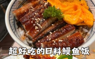 鳗鱼饭多少钱一份_正宗鳗鱼饭价格区间