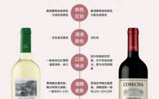 白葡萄酒和红葡萄酒的区别_哪个更好喝