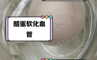 醋泡鸡蛋能减肥吗_醋泡鸡蛋减肥原理 醋泡鸡蛋能减肥吗_醋泡鸡蛋减肥原理