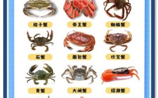 螃蟹哪些部位不能吃_螃蟹哪里有毒