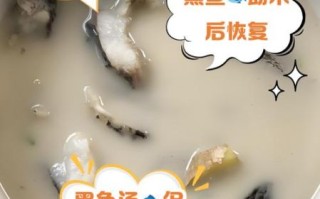 黑鱼汤什么人不能喝_黑鱼汤禁忌有哪些