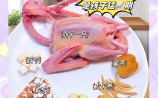 鸽子汤怎么炖好喝_鸽子汤去腥增香的秘诀