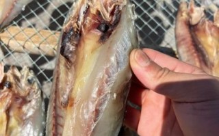 风干鲅鱼干怎么做_鲅鱼干要晒多久才香