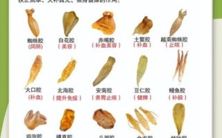 鱼胶的做法大全_鱼胶的功效与作用有哪些