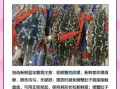 蓝蟹多少钱一斤_蓝蟹价格行情