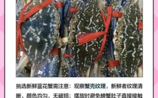 蓝蟹多少钱一斤_蓝蟹价格行情