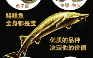 鲟鱼子酱多少钱一克_鲟鱼子酱价格影响因素