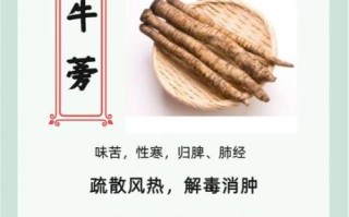 新鲜牛蒡怎么吃_牛蒡根做法大全