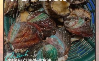 鲍鱼怎么保存_新鲜鲍鱼能放多久