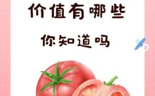 西红柿的营养价值_生吃还是熟吃更好