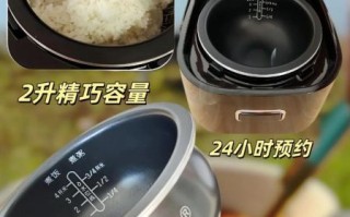小型电饭煲哪个牌子好_迷你电饭煲怎么选