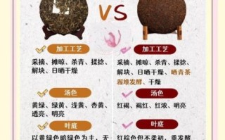 生茶和熟茶的区别功效_哪个更适合你