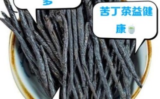 苦丁茶的功效与作用及禁忌是什么_苦丁茶哪些人不能喝