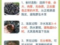 木耳的功效与作用_木耳怎么吃最健康