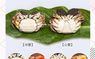 阳澄湖大闸蟹在哪买_如何辨别正宗产地
