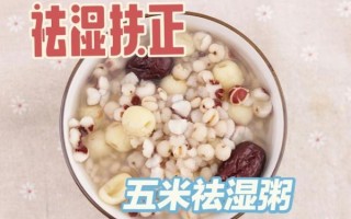 祛湿粥的八种材料有哪些_祛湿粥怎么煮才有效