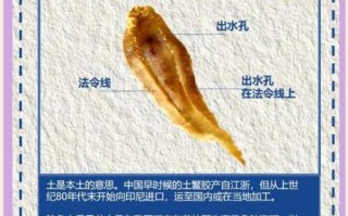鮸鱼胶的功效与作用_鮸鱼胶怎么吃最好