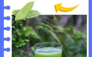 每天喝一杯苦瓜汁好吗_苦瓜汁副作用有哪些