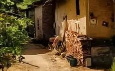 小白菜泪汪汪全集30_小白菜泪汪汪30集剧情解析